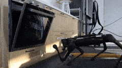 Learning Visual Quadrupedal Loco-Manipulation from Demonstrations ...